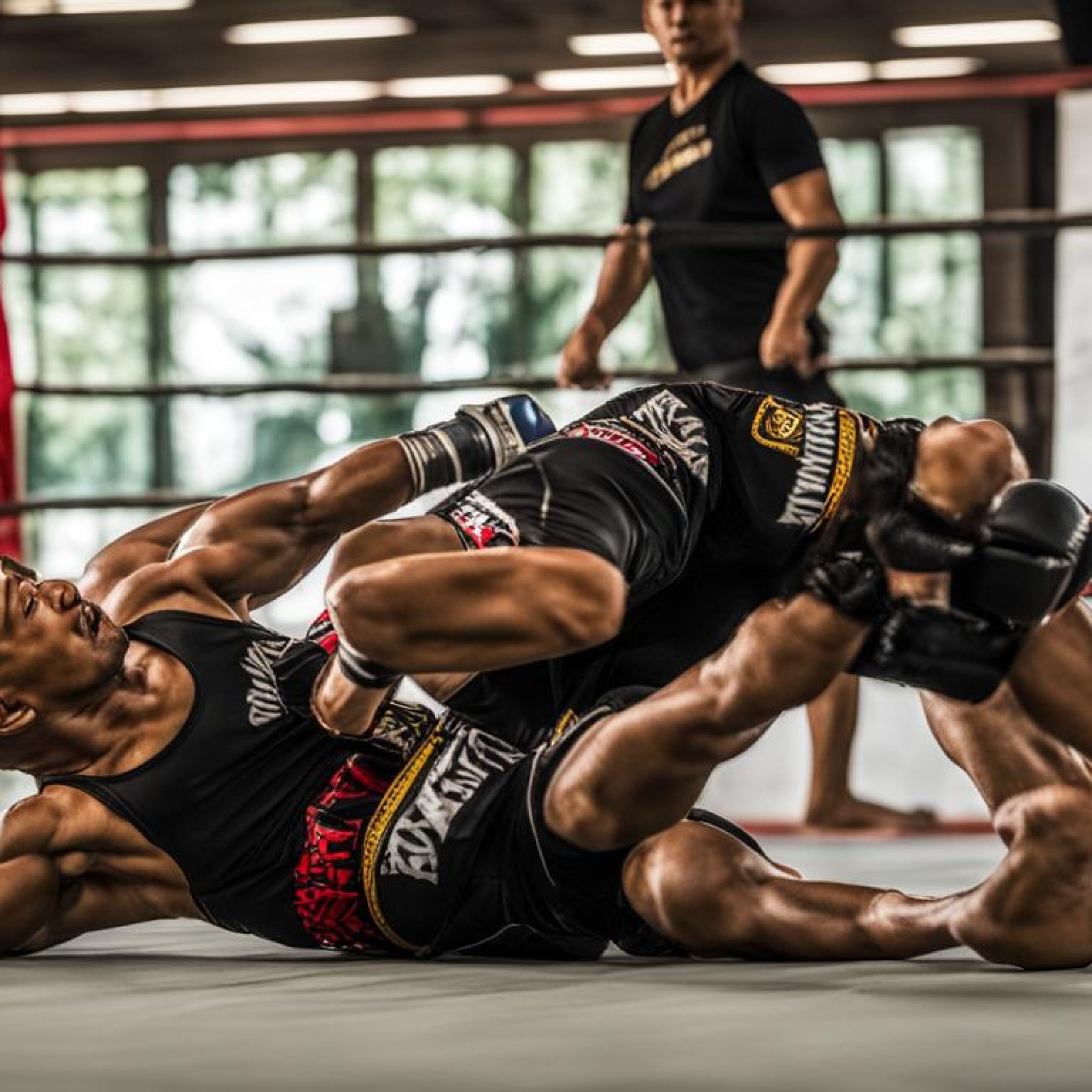 Muay Thai Techniques - United World Muay Thai Association